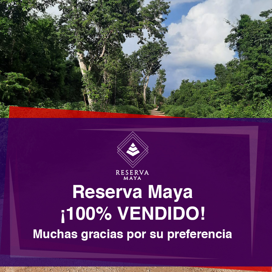 Inicio - Reserva Maya